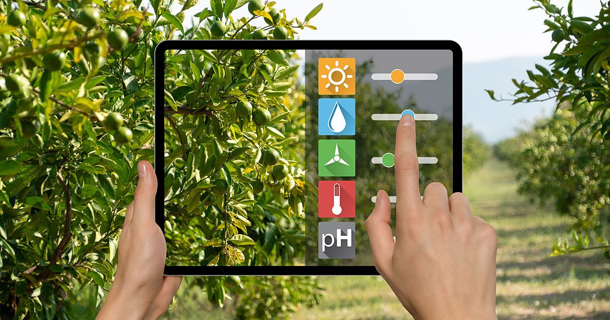 6 tools for smart gardening | CenturyLink